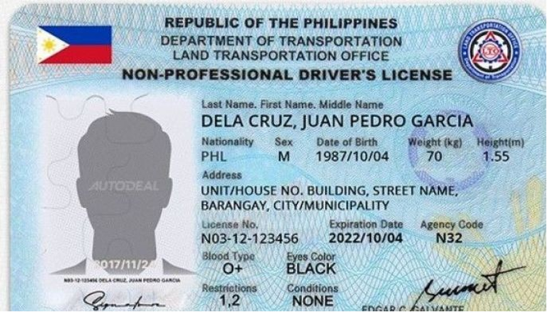 Verify LTO Driver’s License Validity Online | LTO Portal